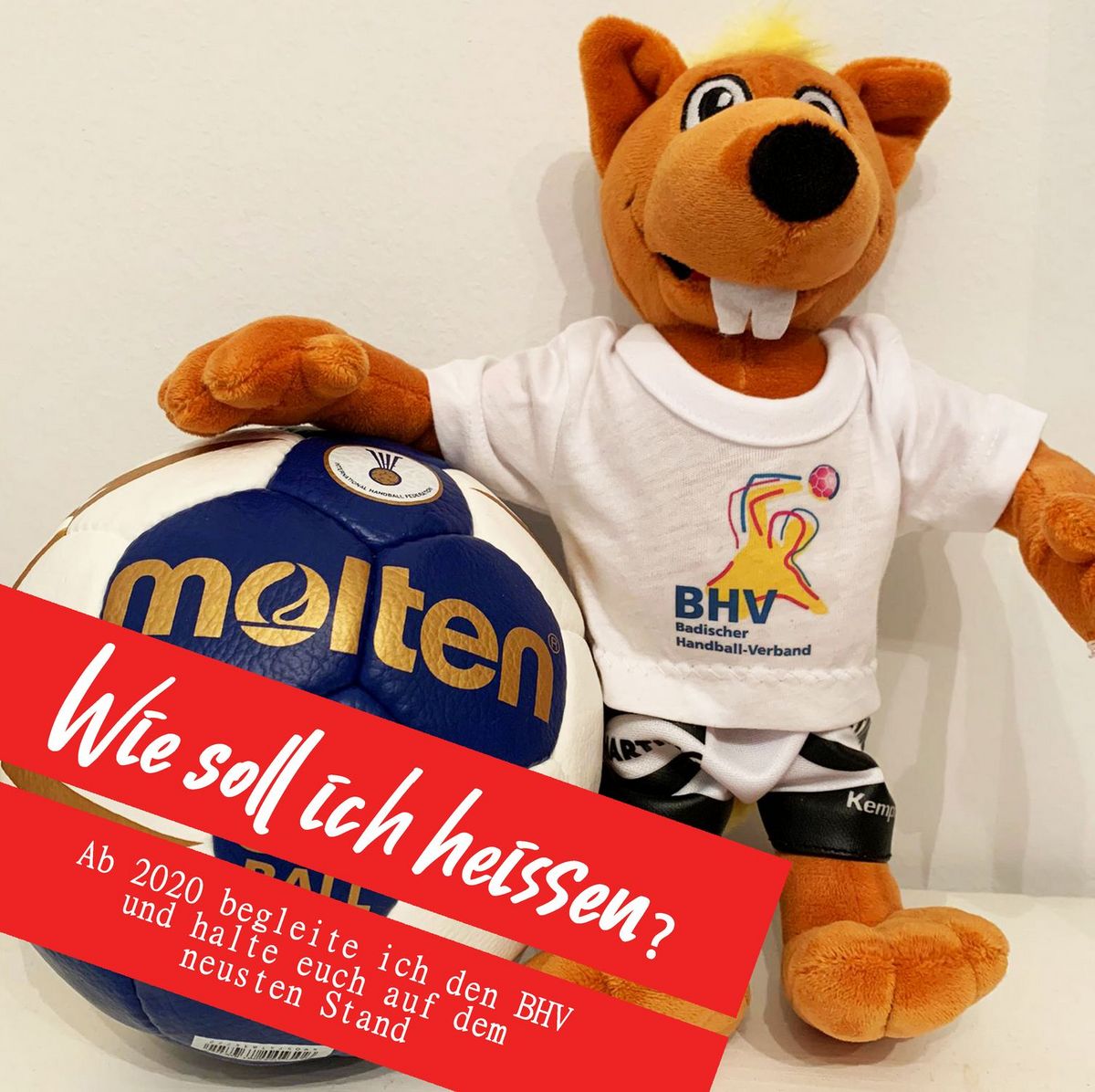 BHV - Badischer Handball-Verband: BHV-Special 01/20 - ab jetzt jeden ...
