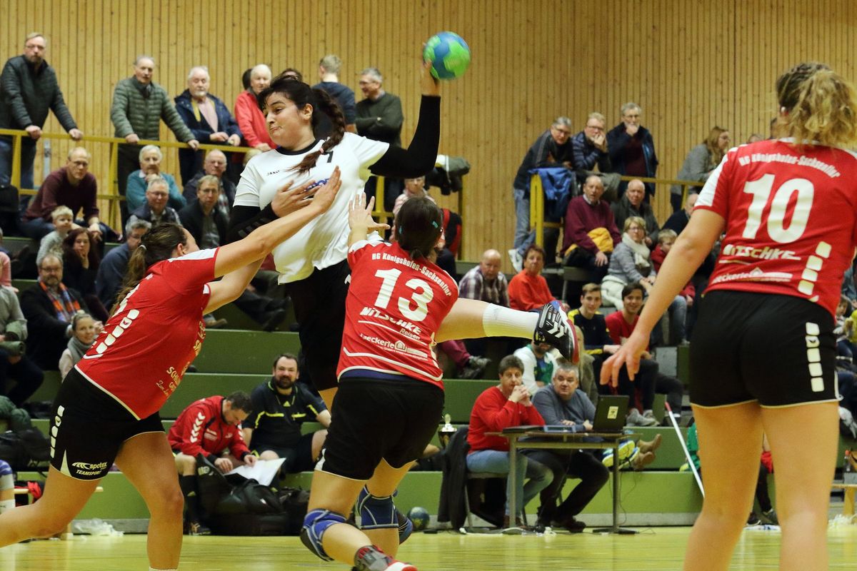 BHV - Badischer Handball-Verband: „Final-Four“ - Handballkreis Neckar ...